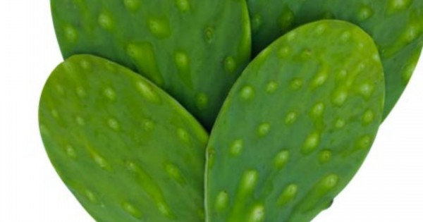Nopales
